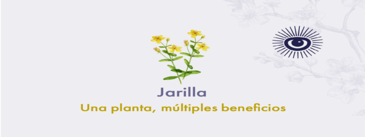 Jarilla en Mendoza | Conseguila en INDIGO - Almacén natural