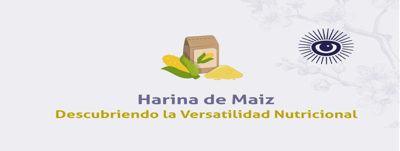 Harina de maiz para arepas y más! | INDIGO
