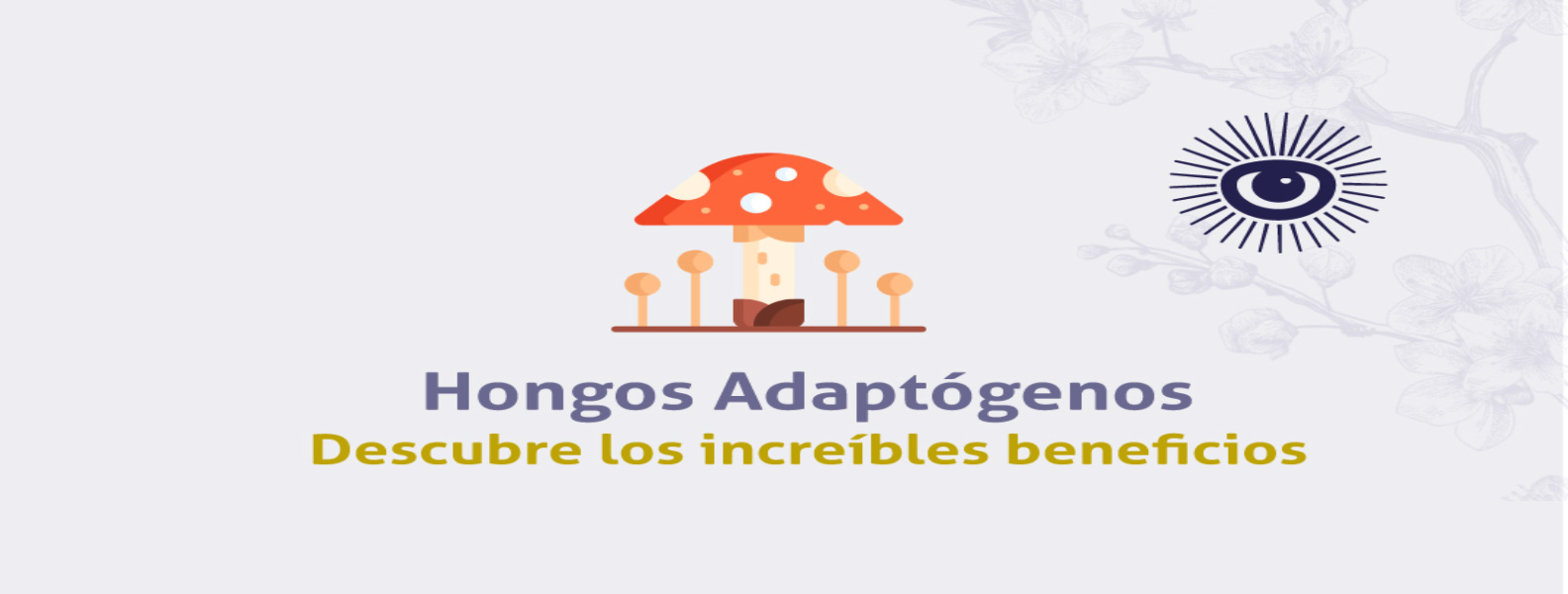 Descubre los beneficios de los Hongos Adaptógenos | INDIGO