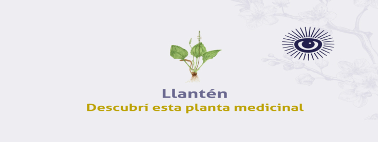 Descubrí el Llanten | INDIGO