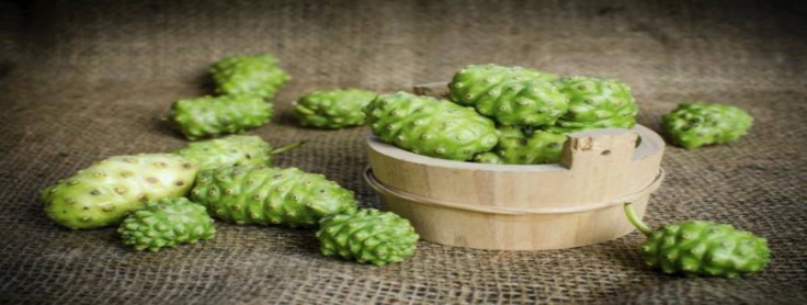 Noni, ¿Conoces sus beneficios? - INDIGO