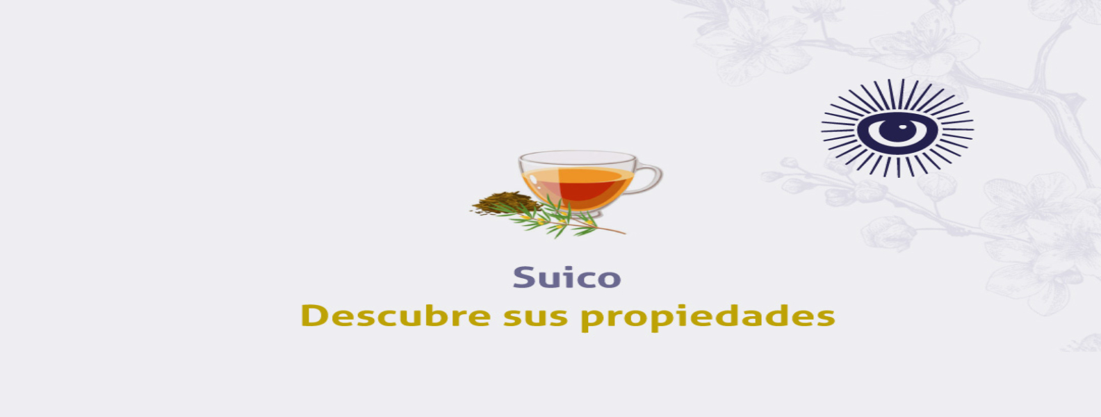 Suico: Para que sirve | INDIGO