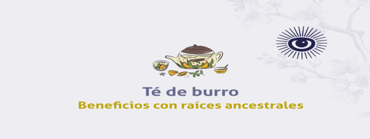 Te de burro: para que sirve | INDIGO