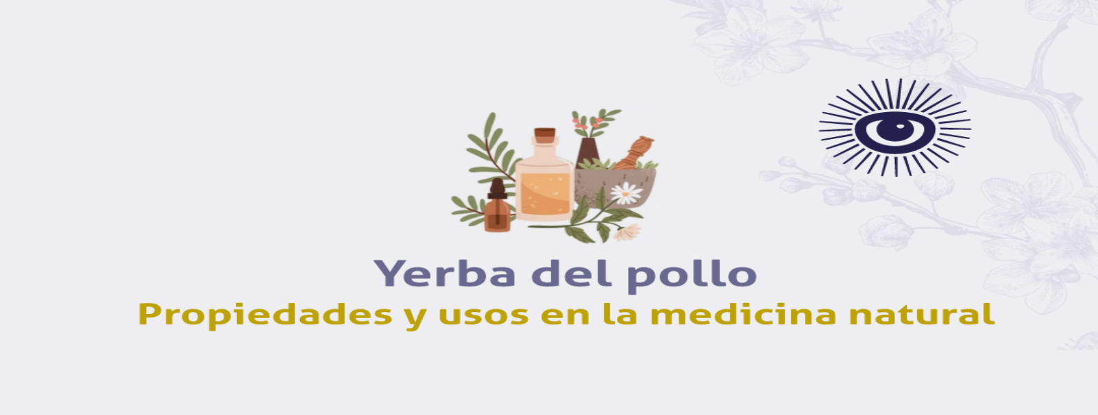 Propiedades y Usos de la Yerba del Pollo en la Medicina Natural - INDIGO